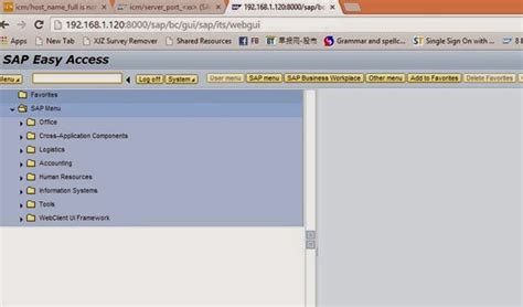 SAP Basis For Beginner Introduction And How To Configure SAP Web GUI