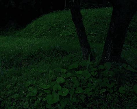 Fairycore Fairiesandmushrooms Tumblr Blog Tumlook