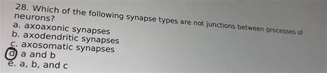 Solved Which Of The Following Synapse Types Are Not