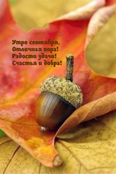 Картинки с надписями Утро сентября отличная пора Радости удачи