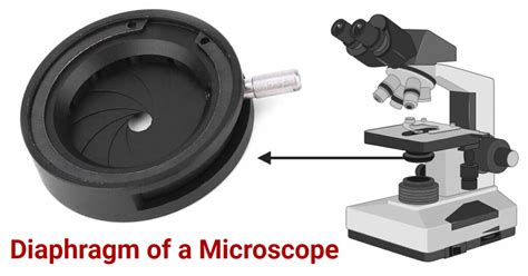 Function Of Aperture Diaphragm Microscope At Ruby Black Blog