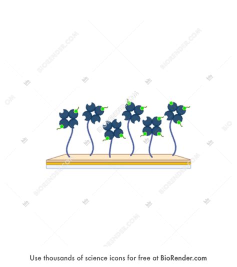 Free Spr Sensor Chip Sa Icons Symbols And Images Biorender