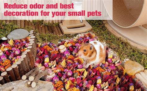 Natural Flower And Herb For Hamster Bedding Soft Green Herbs