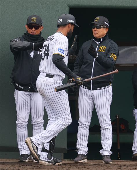 【阪神】平田2軍監督厳しく苦言、社会人チームとの試合後ある右腕の名を連呼したワケ／一問一答 プロ野球写真ニュース 日刊スポーツ