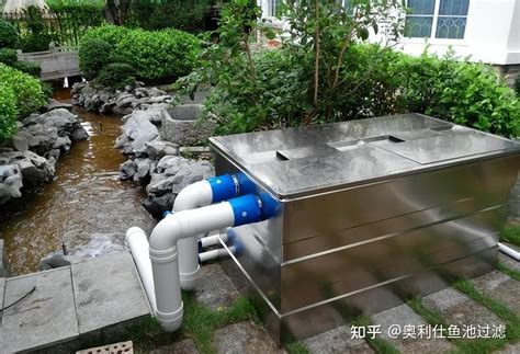 再谈庭院鱼池建造施工流程 知乎