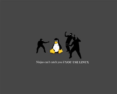 Funny Linux Wallpapers Top Free Funny Linux Backgrounds WallpaperAccess