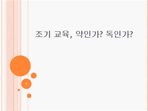 우리나라 조기교육의 현황과 목적 및 조기교육의 문제점과 해결방안