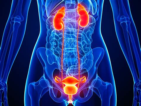 What Causes Pelvic Floor Problems In Men