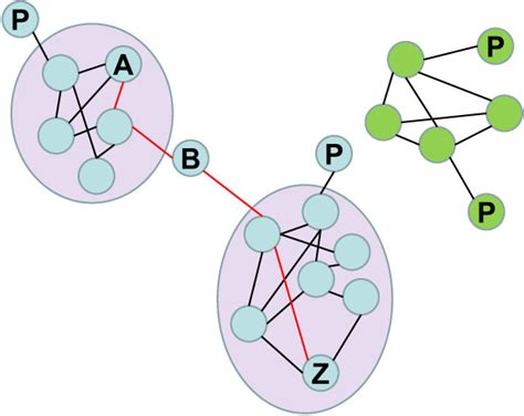 An Example Network Nodes Circles Are Connected By Edges Black Download Scientific Diagram
