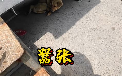 嚣张的外卖小哥要把顾客的饭吃掉 老六liul 老六liul 哔哩哔哩视频
