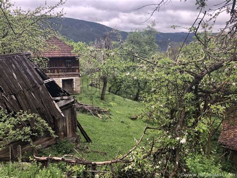 Kuća Na Mokroj Gori Halo Oglasi