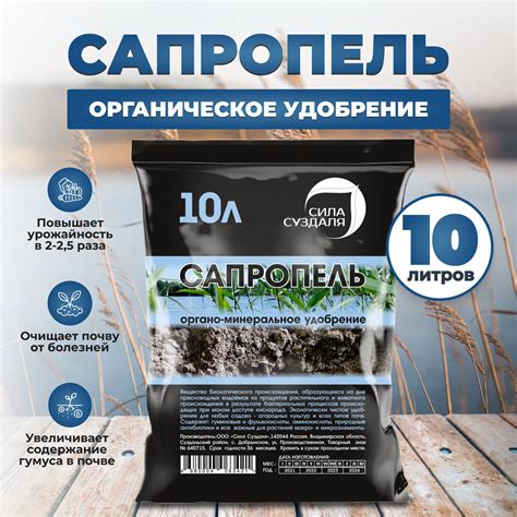 Сапропель купить на OZON по низкой цене