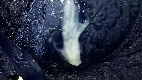 Pemburu Bh Dan Tante Crot Xhamster