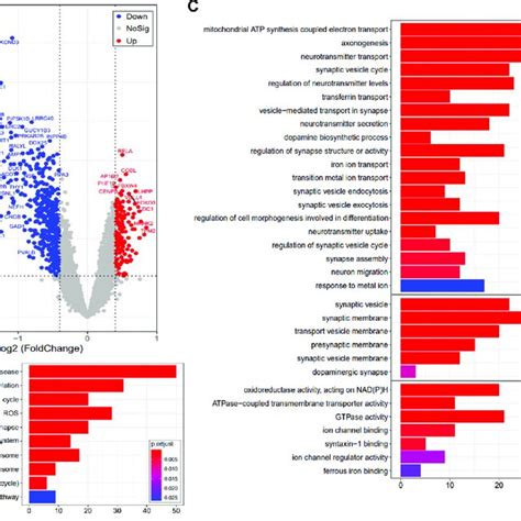 Identification And Analysis Of Differentially Expressed Genes In Download Scientific Diagram