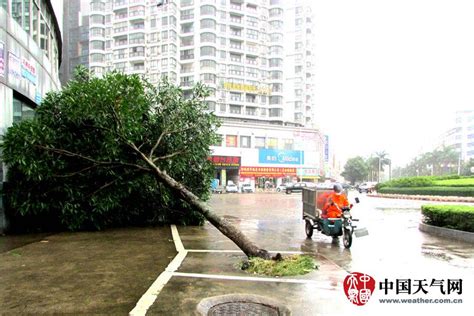 台风致防城港损失严重 广西高清图片 中国天气网