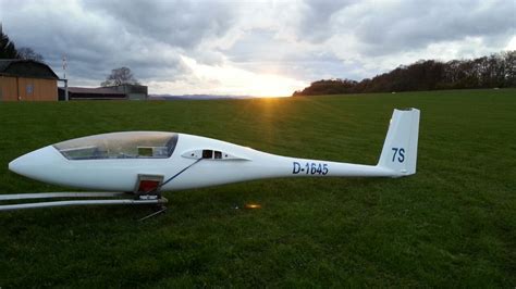 Projects Gliding Kiwi