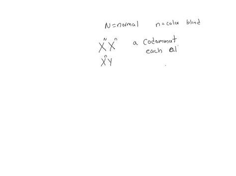 Solved Red Green Color Blindness In Humans Is Due To An X Linked