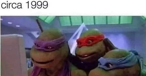 Cowabunga It Is Album On Imgur