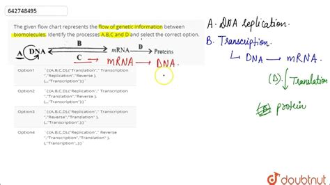 The Given Flow Chart Represents The Flow Of Genetic Information Between