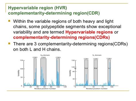 G 2014 Immuno~ 3 Antibody Lyj