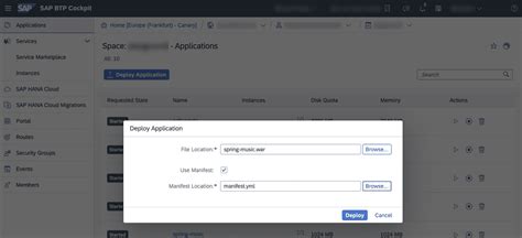 Deploy OneAgent On SAP Business Technology Platform For Application