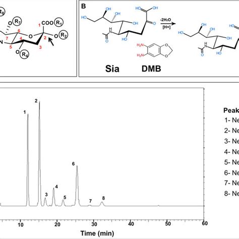 Sialic Acid Analysis By Dmb Hplc Of Bovine Submaxilary Mucins Bsm