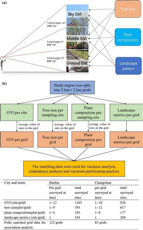 Gbv Tree Analysis Diagram
