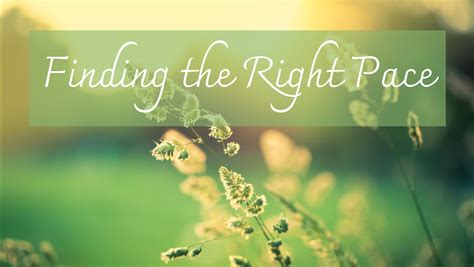 Pacing In Life And Writing