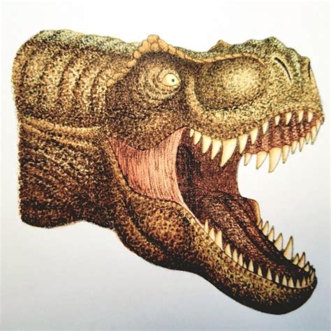 My Take On Rexy R Jurassicpark