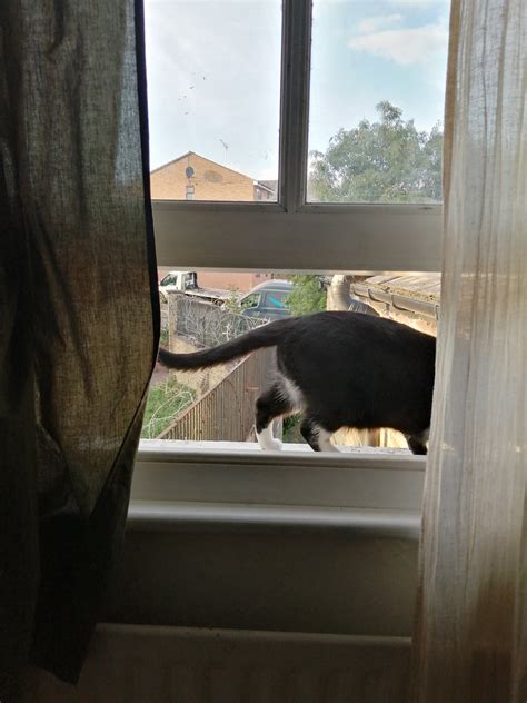 Img 20240829 184550 Sofia Vienna Flickr