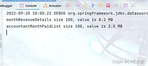 Java 获取对象占用内存大小java Lucene获取对象大小 Csdn博客