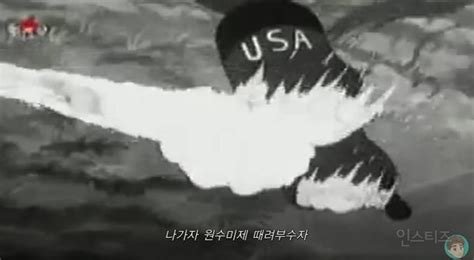 해외에서 호평받는 다큐영화 인스티즈instiz 이슈 카테고리
