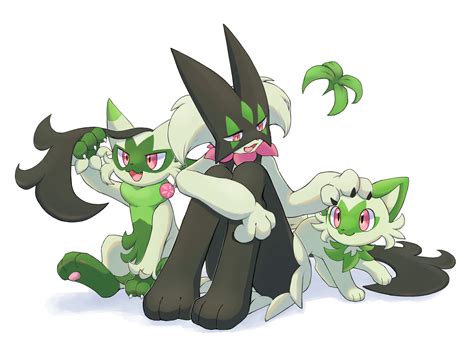 Sprigatito Meowscarada And Floragato Pokemon Drawn By Sukasshu