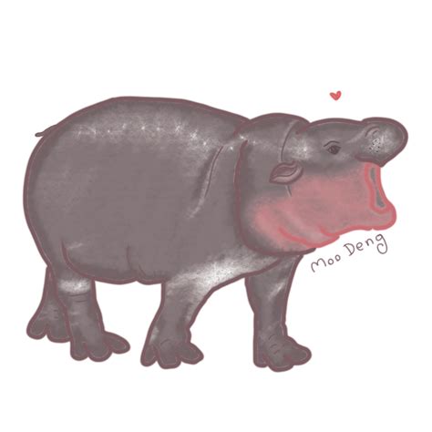 Moo Deng Drawing Cute Thailand Crafty Cotton