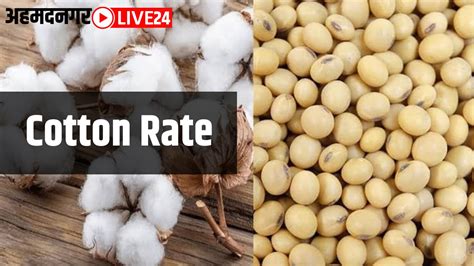 Cotton Rate Farmers Who Will Grow Cotton And Soybeans Will Get Goods