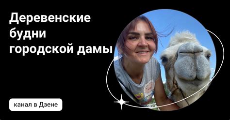 Деревенские будни городской дамы Дзен