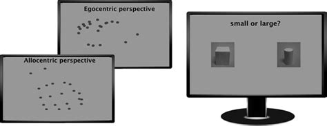 Examples Of Stimuli And Procedures Used In The Experiments Size