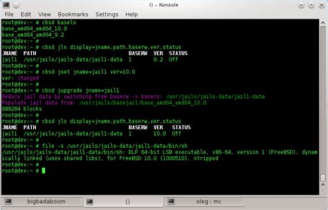 CBSD FreeBSD Jail And Bhyve Management Tools