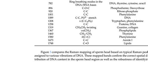 Vibrational Modes And Molecular Assignment Of The Raman Peaks