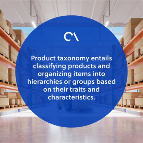 Product Taxonomy 101 What Is It And Why Is It Important Outsource