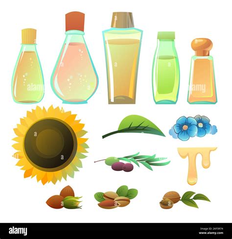 Set Of Natural Oils Objects Extracted From Nuts And Plant Seeds