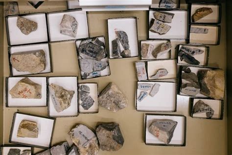 Ahli Geosains Menjelaskan Evolusi Kehidupan 800 Juta Tahun Yang Lalu