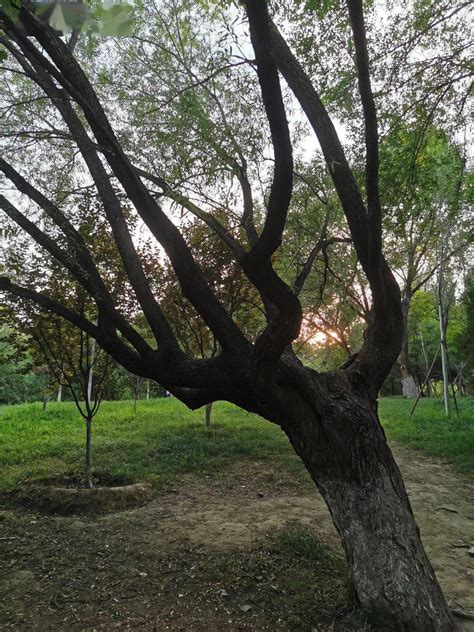 为什么符号主义不能实现大家期望的智能？ 搜狐大视野 搜狐新闻