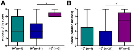 Mri Scores Depend On Number Of Infecting Bacteria Endocarditis Score Download Scientific