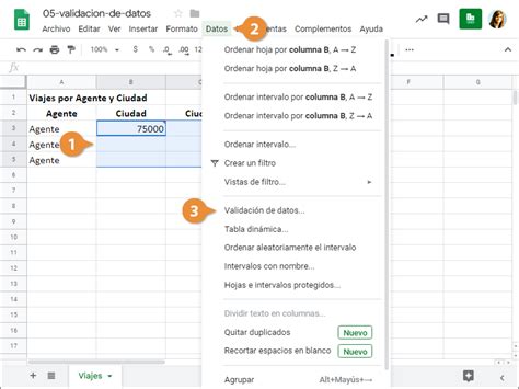 Validación De Datos Customguide