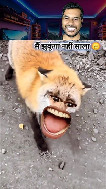 मैं झुकेगा नहीं साला 😂🤣 Funny Funnymemes Shorts Youtube