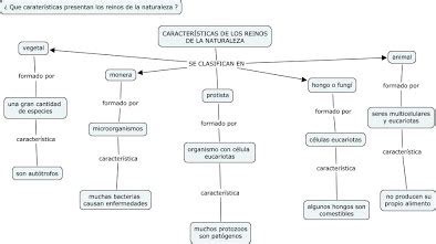Arriba Imagen Mapa Mental Reinos Abzlocal Mx
