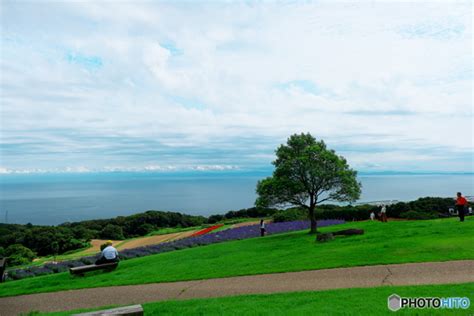 海の見える丘から by VEZEL2016 ID9834690 写真共有サイト PHOTOHITO