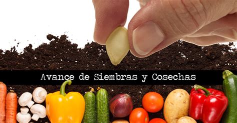 Avance al mes de enero comenzando el año con buenas cosechas Servicio de Información
