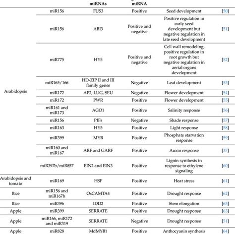 Summary Of Upstream Transcription Factors Of Mirnas Download